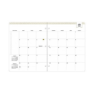 2023-2024 Day Designer Celebration Floral Monthly Academic Planning Calendar, 8-1/2" x 11", Clear, July 2023 to June 2024, 142486