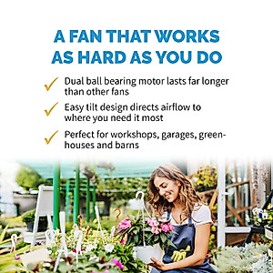 NewAir 18” Outdoor High Velocity Wall Mounted Fan with 3 Fan Speeds and Adjustable Tilt Head, NIF18WBK01