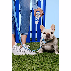 Squishface Wrinkle Paste - Bulldog, French Bulldog, Pug, English Bulldog – Cleans Wrinkles, Tear Stain, Tail Pockets, and Paws – Anti-Itch Tear Stain Remover & Bulldog Wrinkle Cream, 2 Oz.