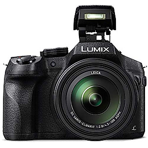Panasonic DMC-FZ300K Digital Camera (Black) with Koah Power Battery and Charger Bundle