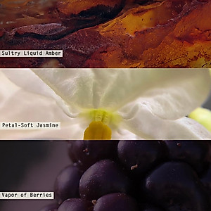 Illume Beautifully Done Essentials BlackBerry Absinthe Boxed Glass Scented Soy Candle