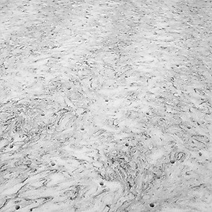 BioPEDIC 2" Bamboo Charcoal Infused Memory Foam True to Size Mattress Topper - California King