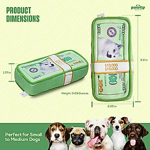 Pawty Dog Toys - Cash Money Dog Toy - Plush Cute Unique Parody Toy with Squeaker - Funny Birthday Gift Small Medium Dogs Premium Quality - Unique Design
