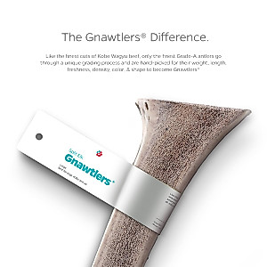 Pet Parents Gnawtlers® - Premium Split Antlers for Dogs, Naturally Shed Split Elk Antlers, All Natural Split Elk Antler Dog Chew, Specially Selected from The Heartland Regions (Large (Pack of 1))