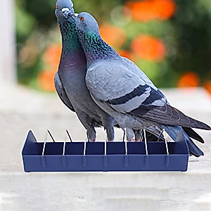 Happyyami Goat Feeder Cattle Feed Trough 2pcs Pigeon Feeder Slot Container Fowl Feeding Dish Bird Storage Trough Food Dispenser Pigeon Cage Supplies 40CM Blue Horse Water Buckets Small Container