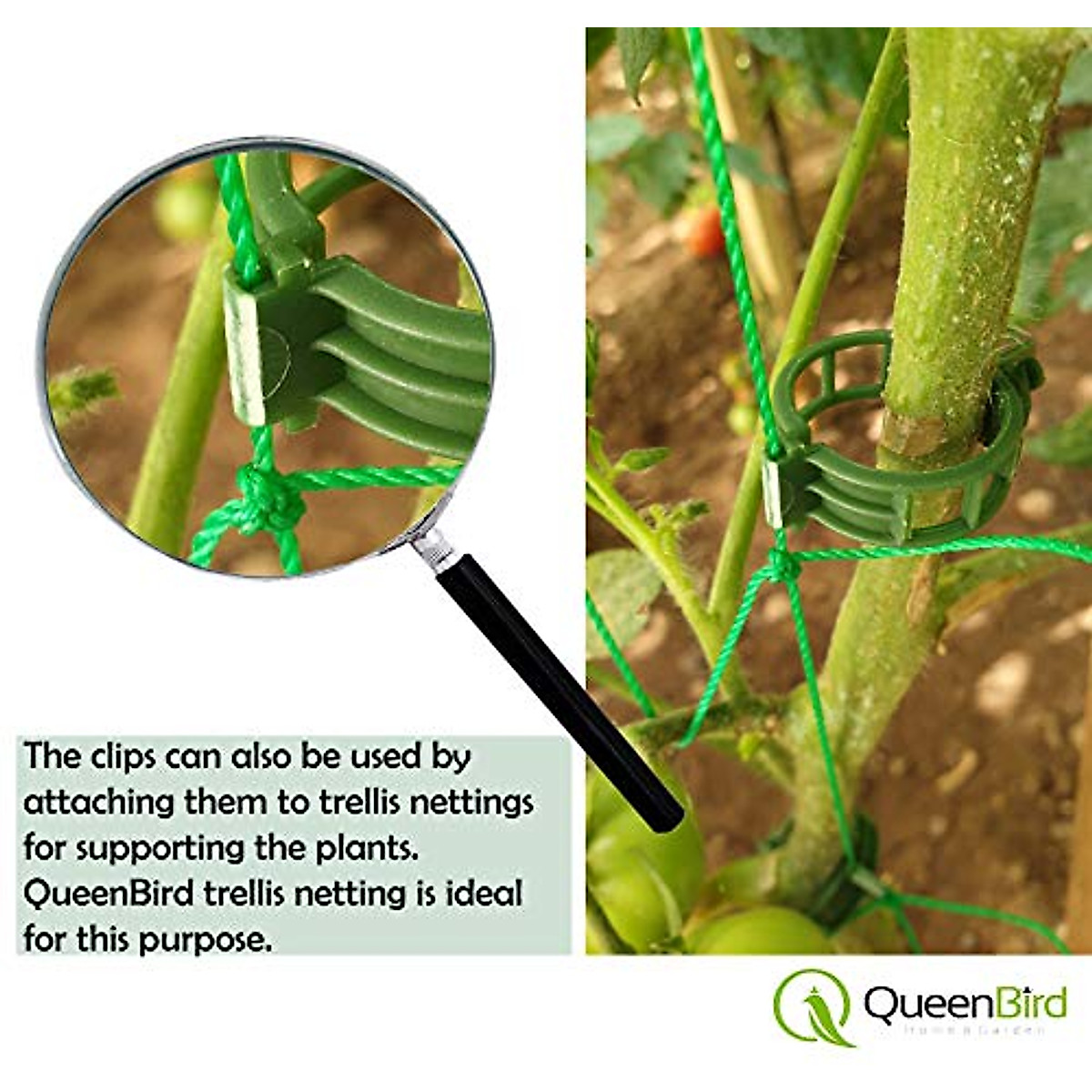 QueenBird Plant Clips - 200 PCS - Green - Garden Clips for Tomato and Other Vine Plants - Trellis Clips - Tomato Plant Support - Upright and Healthier Grow