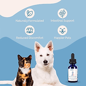 PranaPets Intestinal Defense Supplement for Dogs & Cats | Naturally Helps Digestive Issues in Pets | Herbal Formula