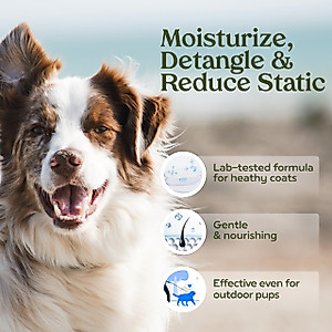 PAWFUME Premium Grooming Spray Dog Spray Deodorizer Perfume for Dogs - Dog Cologne Spray Long Lasting Dog Sprays - Dog Perfume Spray Long Lasting After Bath - Deodorizing Spray (Blue Ribbon, 2-Pack)