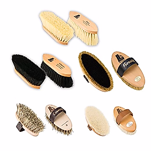 William Leistner Leistner Premium Quality Horse Grooming Brush Set (5)
