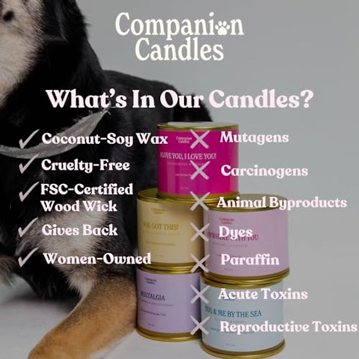 Companion Candles Pet Safe Wood Wick Candle - “You Got This!” Citrus & Tropical Fruits, Coconut Soy Wax Scented, Over 50 Hr Burn Time, Non-Toxic, Women-Owned, Made in USA (11.8 oz.)