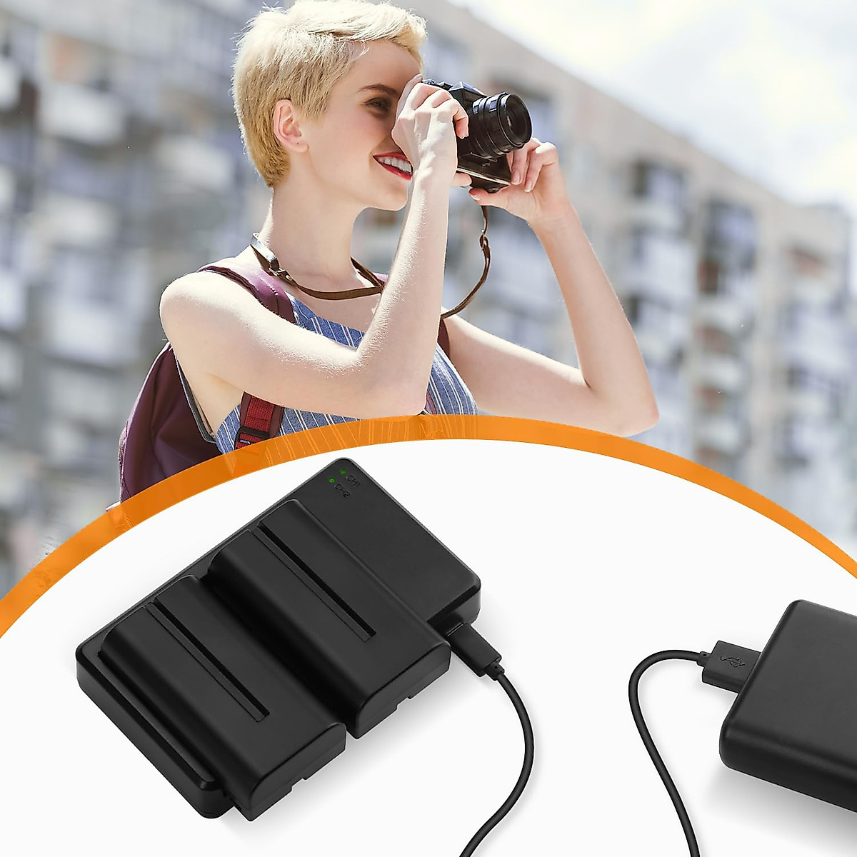 LORDONE NP-F550 Battery, 2-Pack 2700mAh NP F550 Battery and Dual USB Charger Set for Sony NP F970, F750, F770, F960, F550, F530, F330, F570, CCD-SC55, TR516, TR716, TR818, TR910, TR917 and More