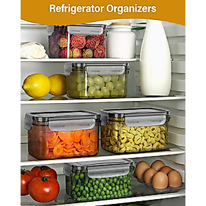 LUSCREAL Airtight Food Containers with Lids, 12 PCS Clear Organizing Containers Kitchen Canisters, Plastic Kitchen Organizers and Storage for Dry Food, Flour and Sugar,Include 20 Labels and 5 Spoons