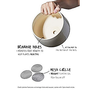 LE TAUCI Plant Pots, 4.1+5.1+6.5 inch, Set of 3, Ceramic Planters with Drainage Hole and Saucer, Indoor Flower Pot with Hole Mesh Pad, Gifts for Mom, Reactive Glaze Beige