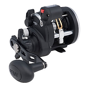 PENN Rival Level Wind Conventional Nearshore/Lake Fishing Reel, HT-100 Star Drag, Max of 15lb | 6.8kg, Forged and Machined Aluminum Spool