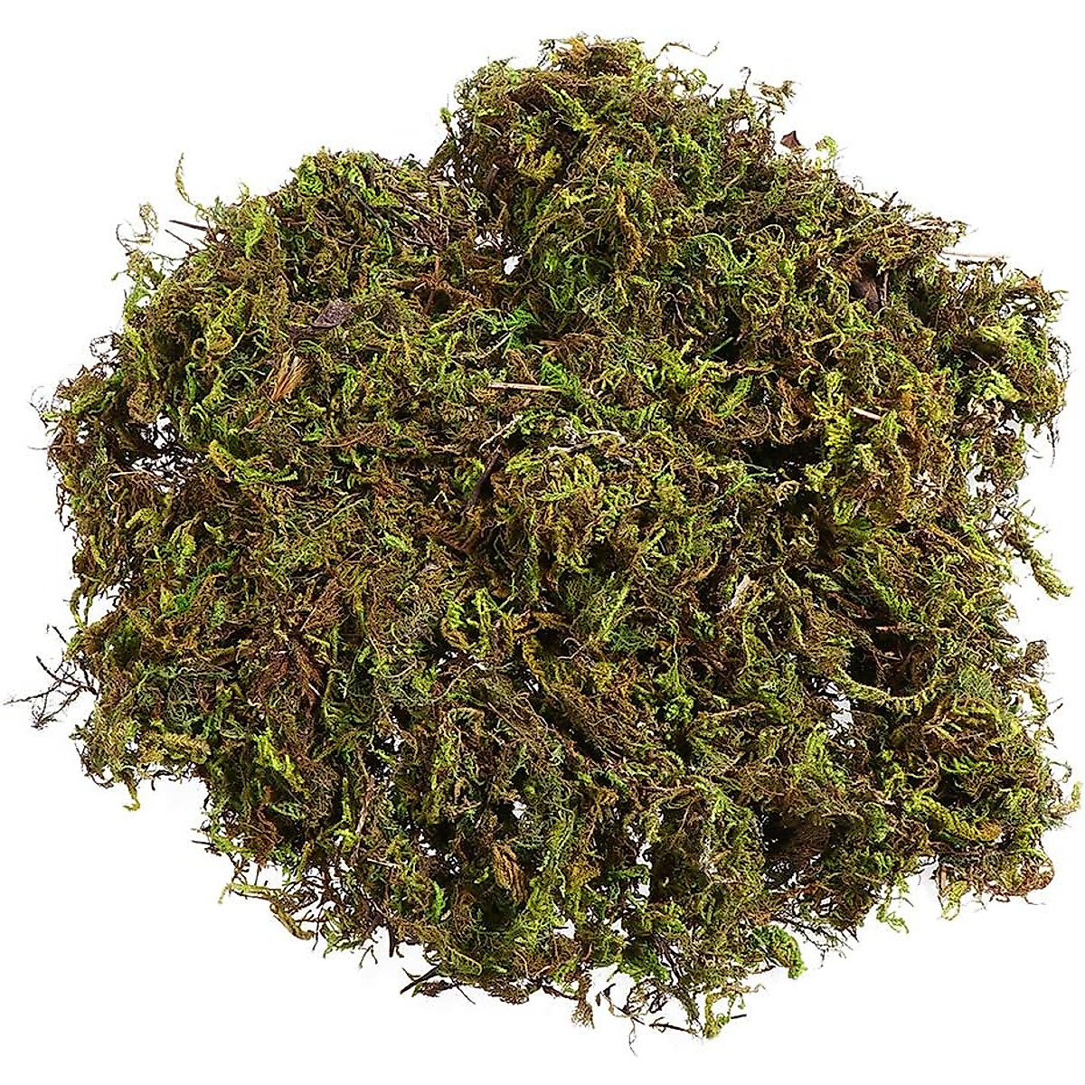 BESPORTBLE 60g Lifelike Artificial Moss Plants Fake Green Lichen Fake Lichen Green Plants for Home Garden Patio Decoration