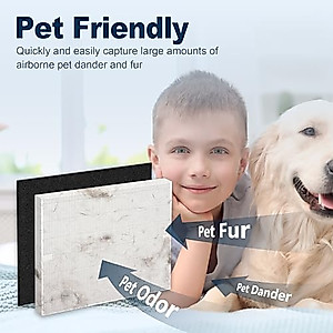 AP-1512HH & 200M Replacement Filter Compatible with Coway Airmega AP-1512HH and 200M Air Purifier, 2 True HEPA and 8 Carbon Pre-Filters, Compared to Part # 3304899