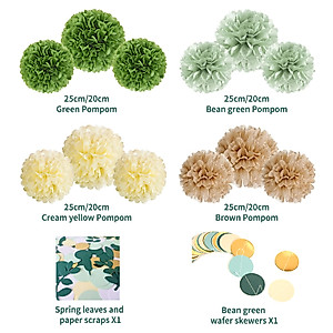 PAPER JAZZ Sage Green Party Decorations Sage Green Tissue Paper Pom Poms Circle Dots Garland Leaf Confetti Hanging Backdrop for Girl Women Birthday Baby Shower Bridal Shower Wedding Party Supplies