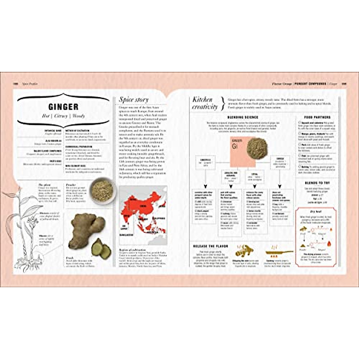 The Science of Spice: Understand Flavor Connections and Revolutionize Your Cooking