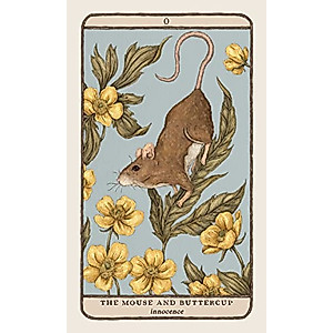 Woodland Wardens: A 52-Card Oracle Deck & Guidebook