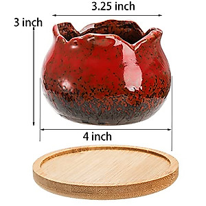 TOPZEA Set of 6 Succulent Plant Pot, 4 Inch Glazed Ceramic Plant Pots Cactus Succulent Pot with Drainage and Saucer, Mini Bonsai Planter Small Flower Pot for Indoor Outdoor