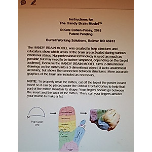 Handy Brain Model B-2 (large)