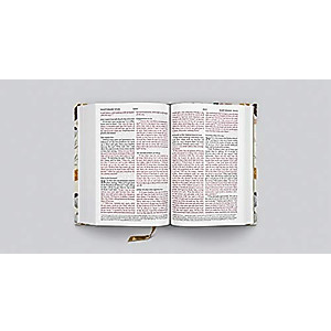 ESV Large Print Compact Bible (Spring Bloom)