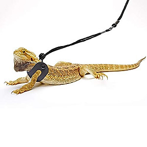 POLKASTORE Bearded Dragon Harness and Leash Adjustable(S,M,L, 3 Pack) - Soft Leather Reptile Lizard Leash for Amphibians and Other Small Pet Animals
