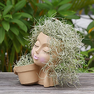 LTSUMI Face Flower Pot Head Planter Succulent Pot Planter Cactus Planter Unique Cute Resin Planter Pot for Indoor Outdoor Plants with Drainage Hole(Double Pots)