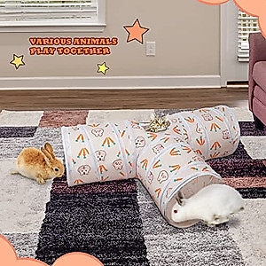 BWOGUE Bunny Tunnels & Tubes Collapsible Carrot Bunny Hideout Extra Large Small Animal Tunnel Toys for Dwarf Rabbits Bunny Guinea Pigs Kitty