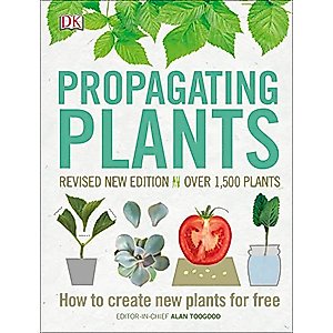 Propagating Plants: How to Create New Plants for Free