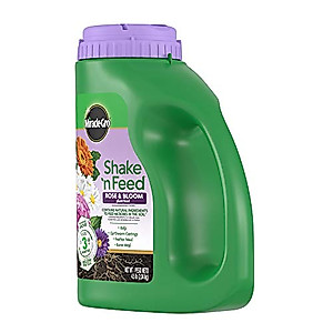 Miracle-Gro Plant Food 3002210 Shake 'N Feed Rose and Bloom Continuous Release Pl, 4.5 lb