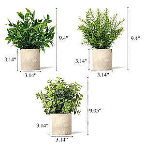 Artificial Plants 3 Pack Mini Fake Hanging with Macrame Plant Hangers Decorative Faux Greenery Decor for Shelves Wall Kitchen Farmhouse Bathroom Home Office