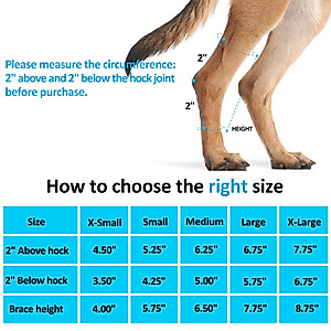 Bawektrl Dog Leg Braces for Back Legs,ACL Brace for Large Dogs Rear Legs, Joint Compression Warps Support for Hind Leg with Injury Sprain, Wound Care and Loss of Stability from Arthritis (1 Pair)
