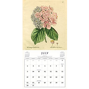 The World of John Derian Wall Calendar 2023: Hand-Colored Works of Art