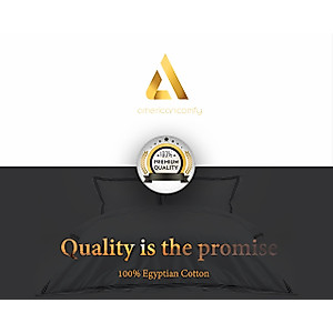 Duvet Cover Set Queen 600 TC Luxury Soft Brushed 3pcs with Elegant 3-Line Embroidery 1Duvet Cover & 2Pillow Sham with Zipper Closure, for All Seasons Taupe Solid by Americancomfy