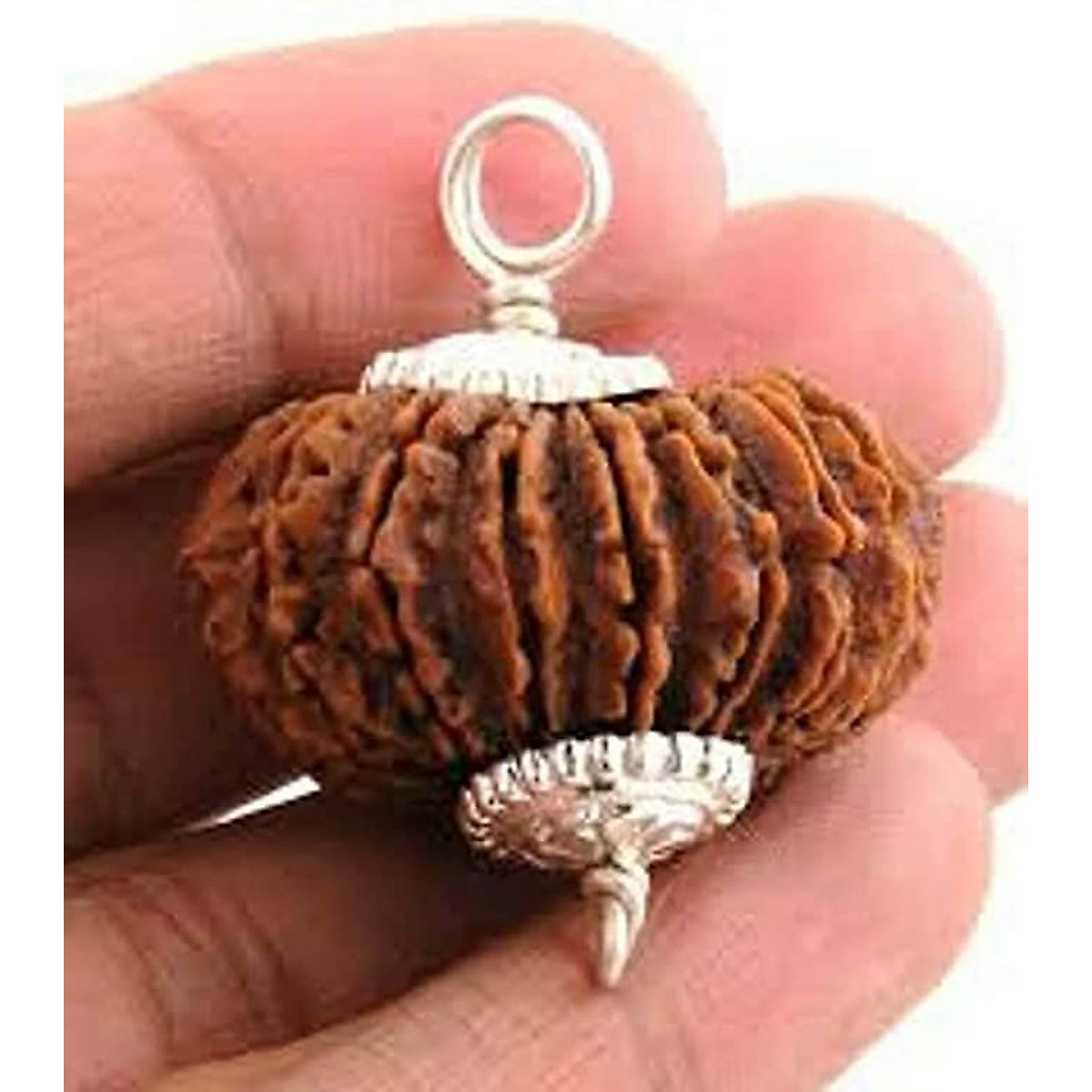 Astrodivine 21 Mukhi Rudraksha Original Certified Pendant Sterling Silver Real Nepal Bead Genuine Rudraksh Fruit 21 मुखी रुद्राक्ष पेंडल