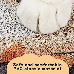 PAKEWAY Cat Litter Trapping Mat 16 x 24inch Pet Food Feeding Mat, Door Mat Easy to Clean Non Slip, Original Design Artist Cat Litter Mat Inspired by Famous Paintings