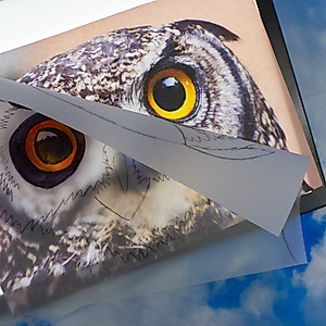Picture/Perfect Professional Light Box for Tracing - Ultra Thin Portable LED Light Pad, 3 Level Brightness Advanced Filter to Prevent Eye Fatigue, Includes Tracing Paper, A4 9x13 Inch