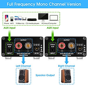 Nobsound 100W Full Frequency Mono Channel Digital Power Amplifier Audio Mini Amp (Black)