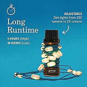 Coleman ONESOURCE Rechargeable Outdoor String Lights