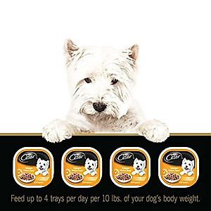 Cesar Filets in Gravy Poultry Lovers Variety Pack Wet Dog Food, 3.5 oz., Count of 12