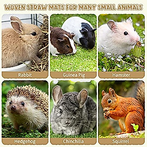 Riakrum 40 Pcs Grass mats for Rabbits Bunny Grass Mat Woven Straw Mat Bed Rabbit Sleeping Mat Natural Chew Toy Bed for Parrot Chinchilla Squirrel Hamster Cat Dog Small Animal