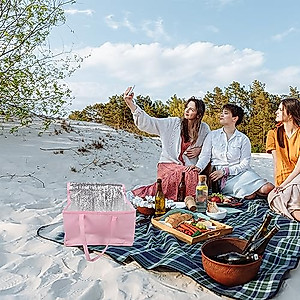 iplusmile Insulated Food Delivery Bag Insulated Grocery Bag Cooler Bag Drink Carriers Beverages Grocery Pizza Commercial Quality Hot and Cold