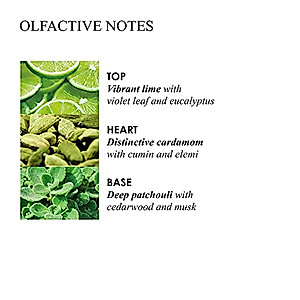 Molton Brown Lime & Patchouli Hand Lotion, 10 Fl Oz (Pack of 1)