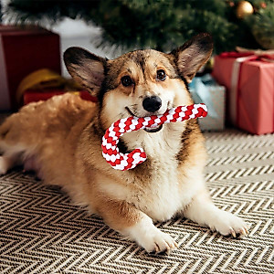 POPETPOP Christmas Dog Toys 3 Pcs, Dog Teeth Cleaning Rope Toy, Durable Dog Chew Ball and Santa Squeaky Plush Dog Toy for Small Dogs and Puppy - Xmas Dog Toy