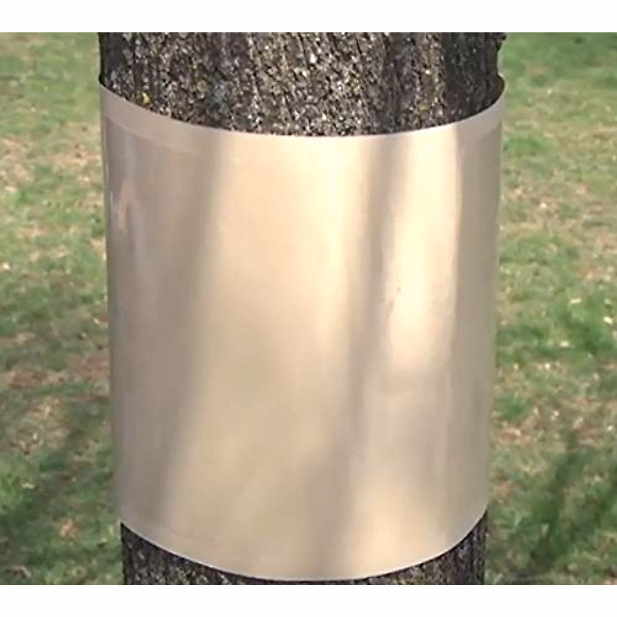 Pack of 15 Spotted Lanternfly, Canker Worm Sticky Tree Banding 7 inch Wide by 36 inch Longe