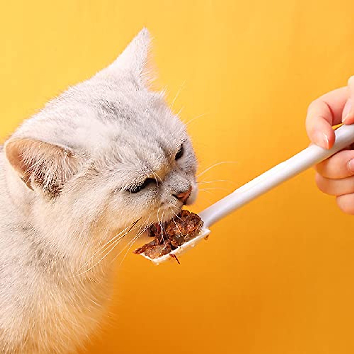 4 PACK Pet Food Can Supplies Pet Food Mixing Spoons Food Canned Scoop for Pet Cat Dog Feeding Can and Wet Food Storage (Green+Gray)