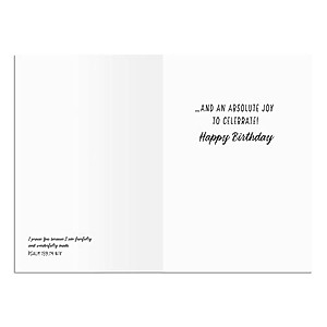 DaySpring - There is No One Like You - 4 Floral Birthday Card Assortment with Scripture - 12 Birthday Boxed Cards & Envelopes (U1199)