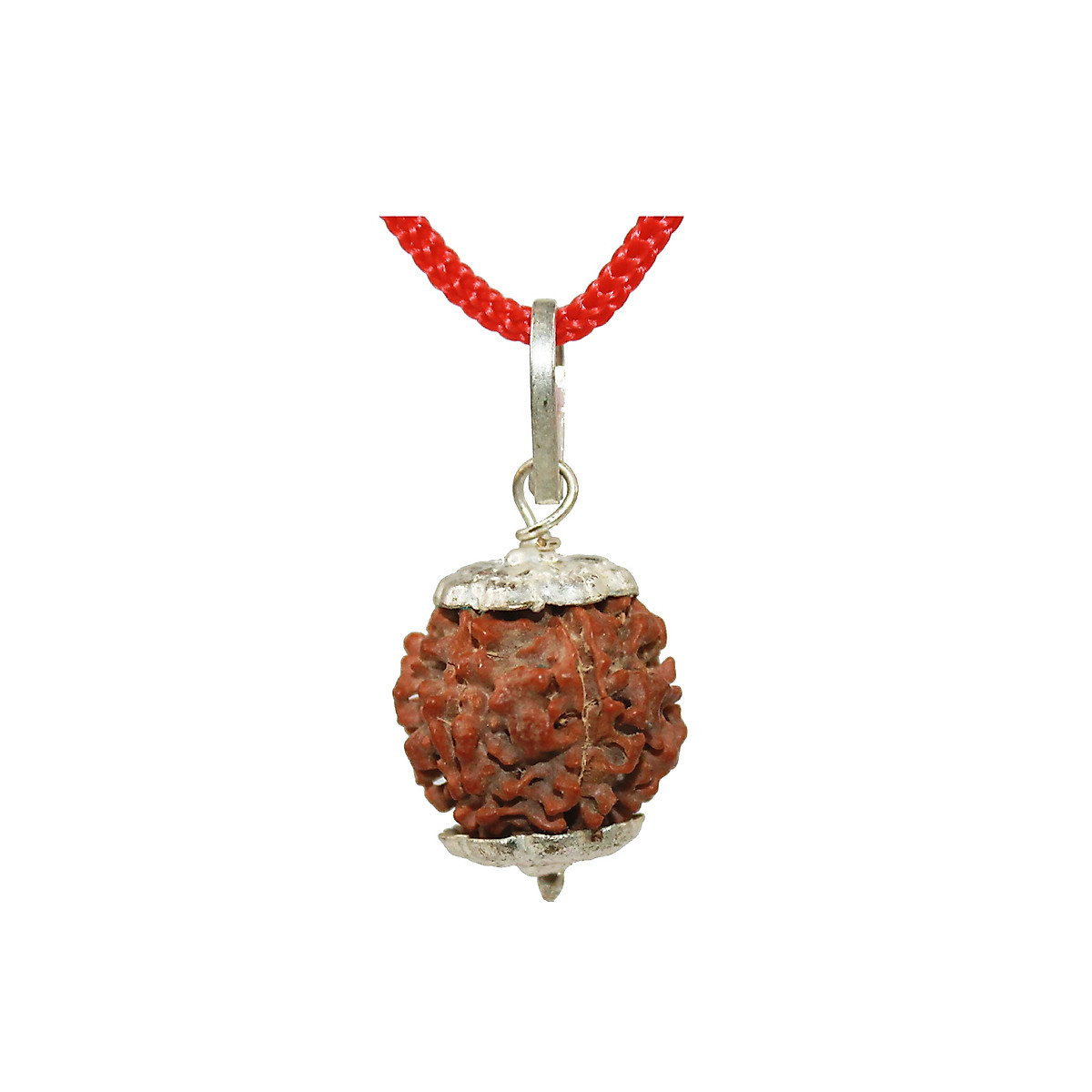IS4A 100% Original & Natural Rudraksha Pendant (Locket) Silver Pendant (5 Mukhi (Fcae))