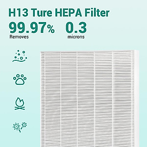 TOMORAL D360 Filter Replacement for Winix Air Purifier D360, Includes 2 True HEPA (H13) Filters and 8 Activated Carbon Pre-filters, Replaces for Winix D3 filter - 1712-0101-02